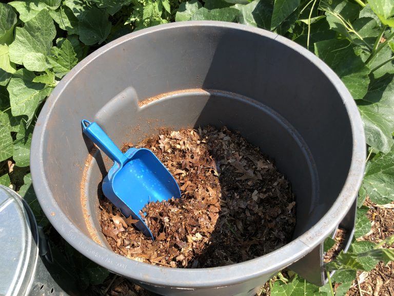 2024 Leaf Drop – Prospect Heights Community Farm