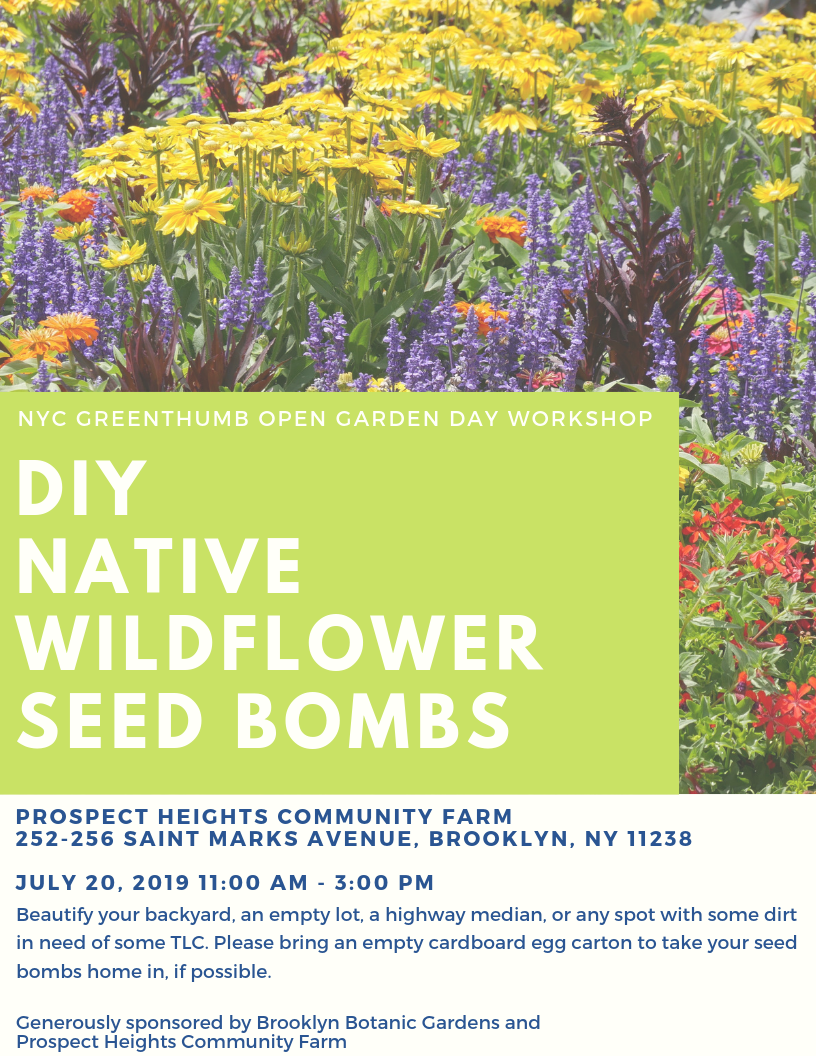 Greenthumb Open Garden Day: DIY Native Wildflower Seed Bomb Workshop ...